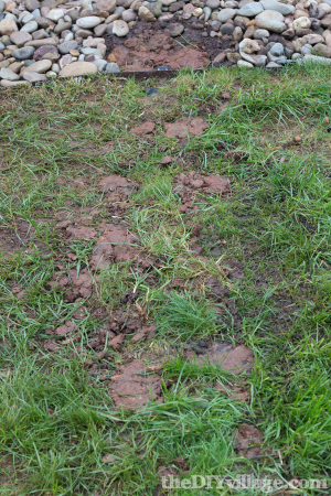 Lawn Repair with Pennington 1 Step Complete - The DIY Village