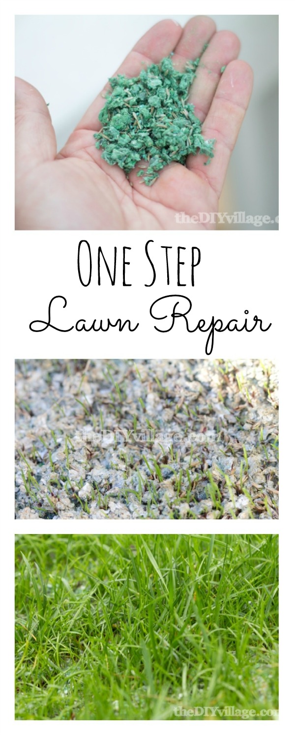 Lawn Repair With Pennington 1 Step Complete The DIY Village Lawn Repair With Pennington 1 Step Complete The DIY Village